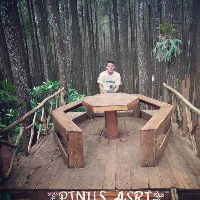 Hutan Pinus Asri Tiket Masuk, Jam Buka, Spot Foto - Travelingan.Net Hutan Pinus Asri Tiket Masuk, Jam Buka, Spot Foto - Travelingan.Net